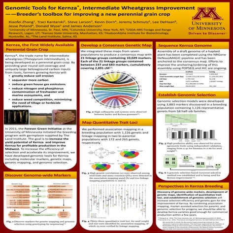 PAG 2017 poster | PPTX