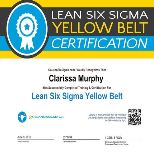 Lean Six Sigma Yellow Belt | PDF