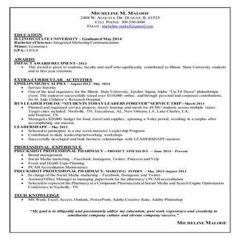 Michys Resume | DOCX
