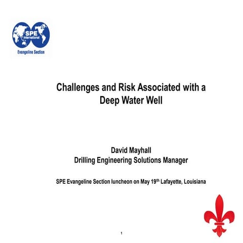 SPE Evangiline Presentation | PDF