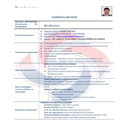 CV Adrian Matasa | PDF