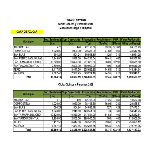 PRODUCCIÓN AZUCARERA EN PUERTO RICO POR CENTRALES 1911-2002 | PDF