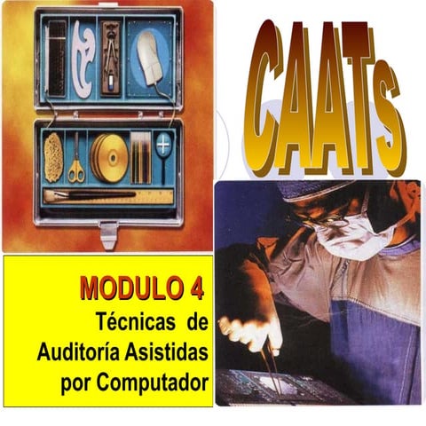 tecnicas de auditoria asistidas por computador | PPT