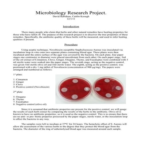 Microbiology Research Thesis | DOC