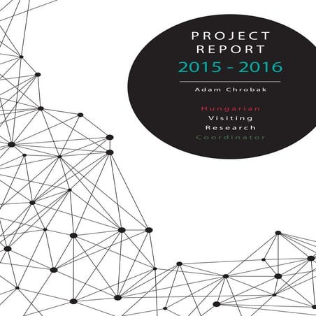 Report_Adam_Chrobak_Wirth_Institute | PDF