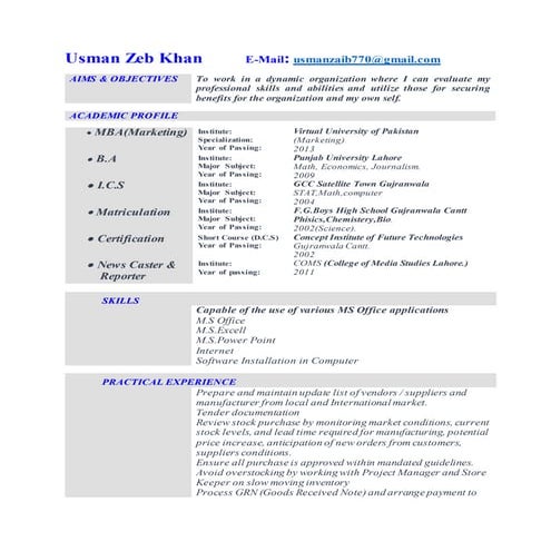 CV Usman | DOCX