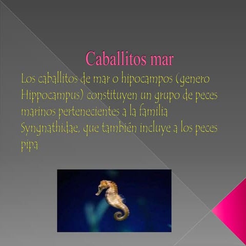 Caballito de mar | PPTX