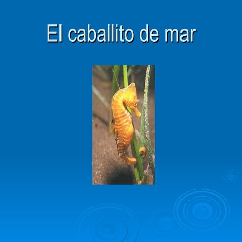 Nos movemos con el caballito de mar | PDF