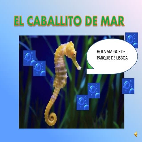 Caballito de mar | PPTX