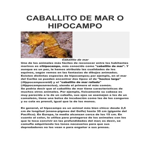 Caballito de mar | PPTX
