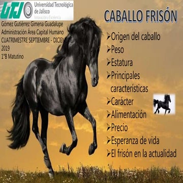 Caballo Frisón | PPTX
