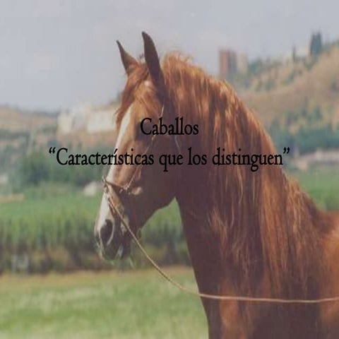 Caballos | PPTX