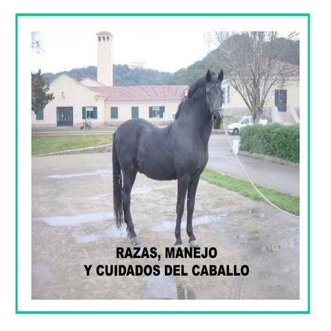 Razas de Caballos y sus características principales.pdf
