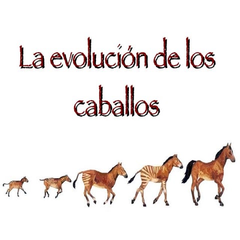 Caballos 1 | PPT