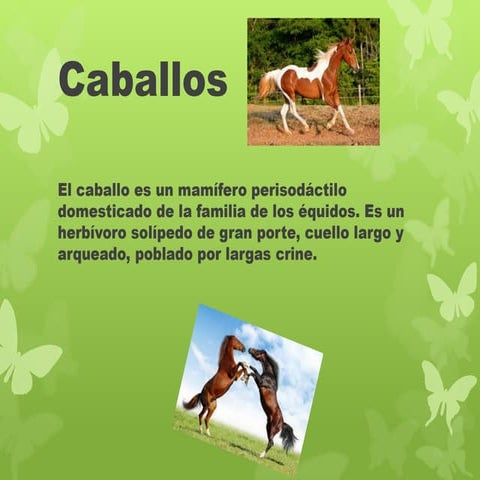 Power de caballos | ODP