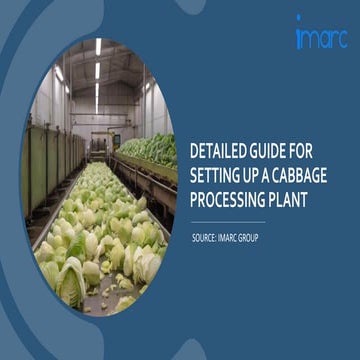 Detailed Project Report on Cabbage Processing Plant Setup | PPT