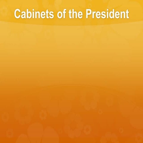 The Executive Branch | The Presidency | PPTX