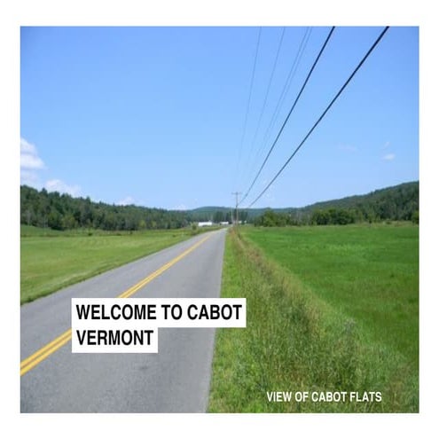 Cabot Introduction | PPT