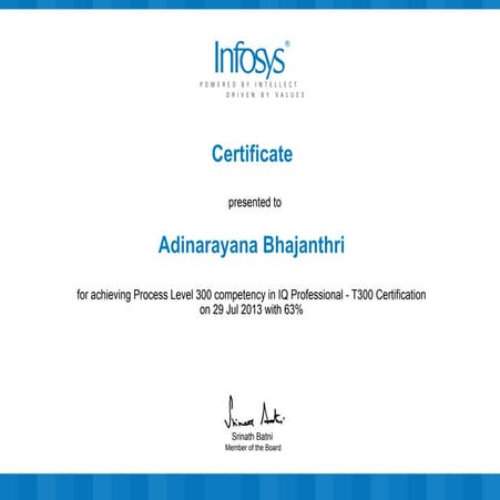 IQ Professional_63 | PDF