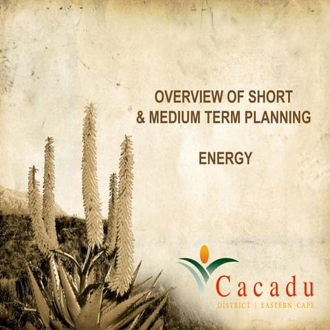 Cacadu District Municipality energy planning – Wendy McCallum | PDF