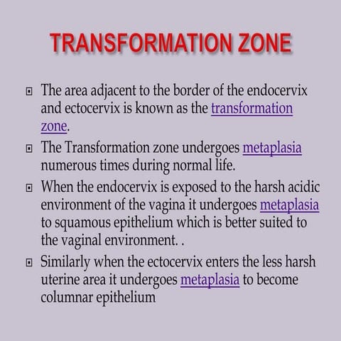 ca cervix.ppt.pptx cancer cancer of female | PPT