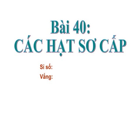 Cac hat so cap | PPT