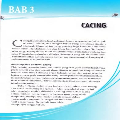 Cacing | PDF