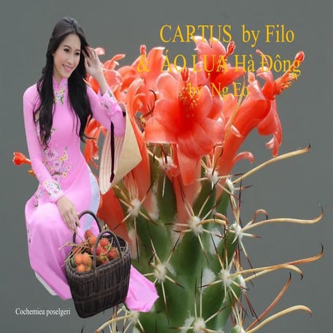 Cactus ao lua_ha_dong | PPT