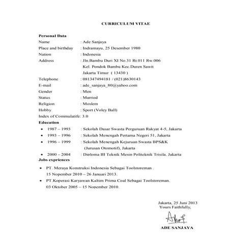 CURRICULUM VITAE | PDF