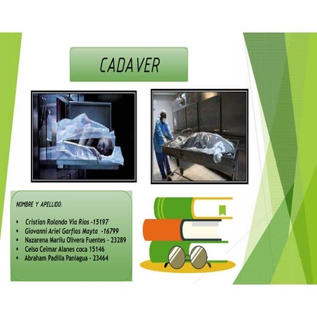 Criminalística: posiciones cadavéricas | DOCX
