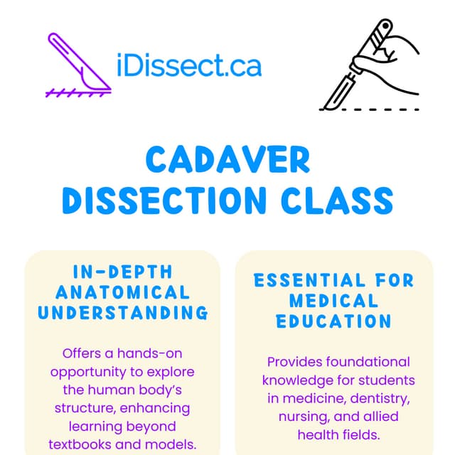 Cadaver Dissection Class - www.idissect.ca