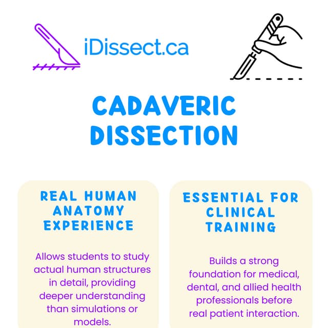 Dissection Of a Cadaver - www.idissect.ca