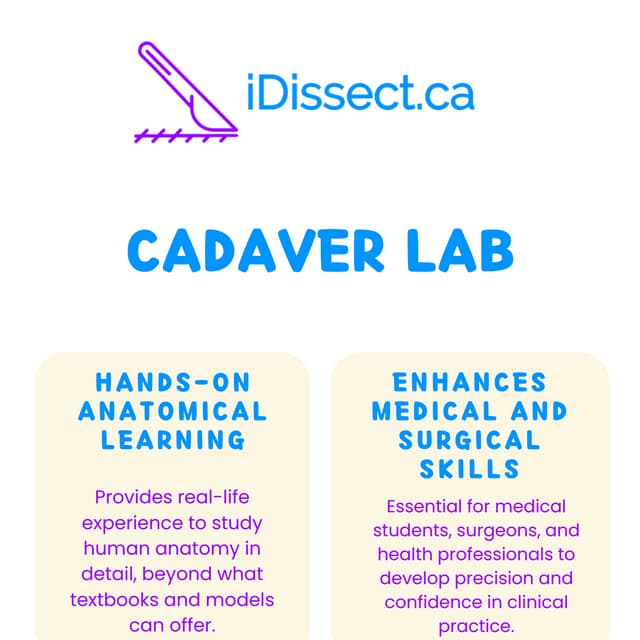 Cadaver Lab in Toronto - www.idissect.ca