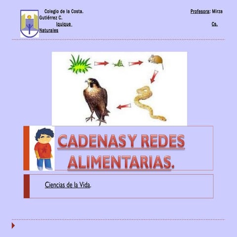 Cadena Alimentaria y Red | PPT