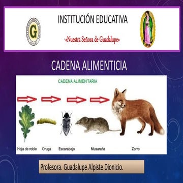 Cadena alimentica | PPTX