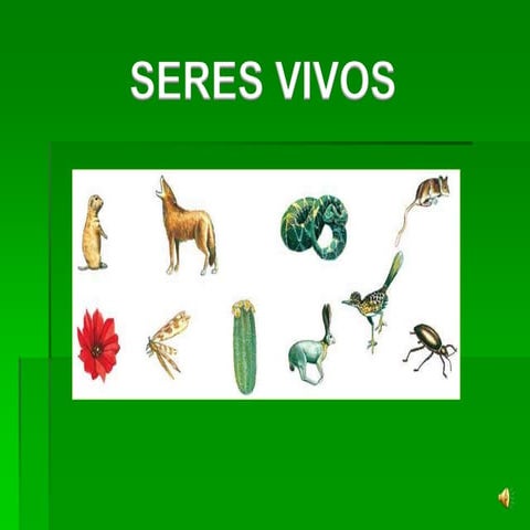 Cadena alimenticia | PPTX