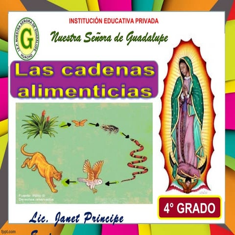 Cadena alimenticia | PPT