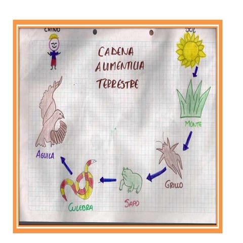 Cadena alimenticia terrestre, aerea y acuatica | PPTX