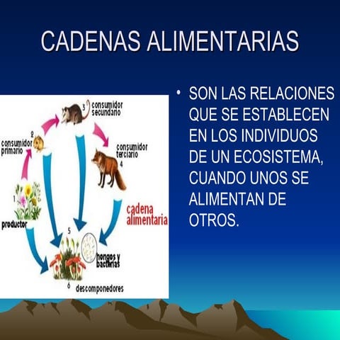 Cadenas alimentarias | PPT