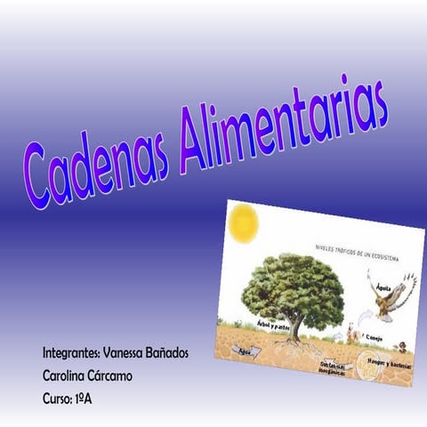 Cadenas alimentarias | PPT
