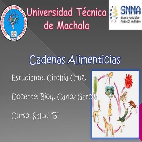 Cadenas alimenticias | PPTX