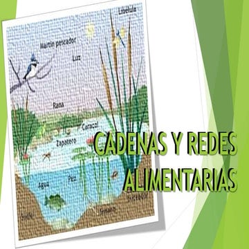 Cadenas alimenticias | PPTX