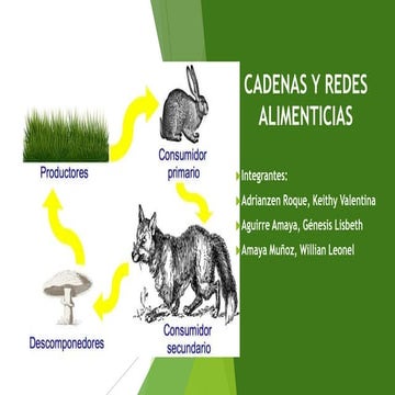 CADENAS Y REDES ALIMENTICIAS.pptx
