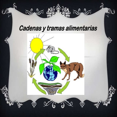 Cadenas y tramas alimentarias | PPTX
