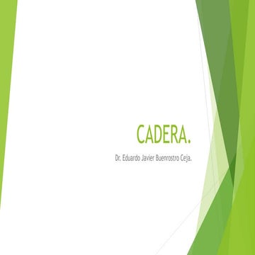 Articulación de la cadera y su exploracion semiologica | PPTX