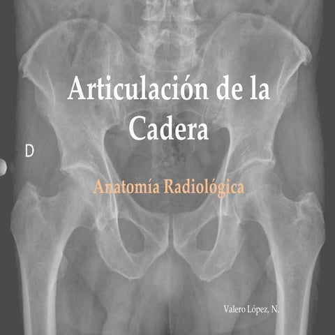 Abducción y aduccion de cadera.ppt completo | PPT