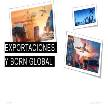 BORN GLOBAL una perspectiva internacional.pptx