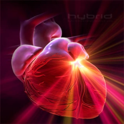 CAD AND MI (CORONARY ARTERY DISEASE AND MYOCARDIAL INFARCTION) | PDF