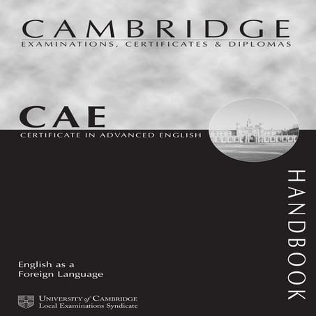 Caehandbook | PDF