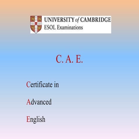 Cae presentation | PPTX